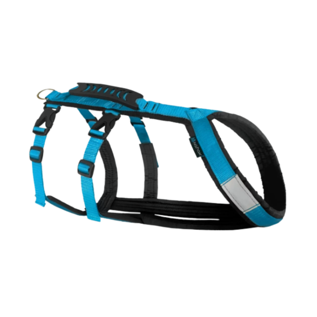 Nahak Harnais hybride pour chien Aqua - Boutique Bellifrance