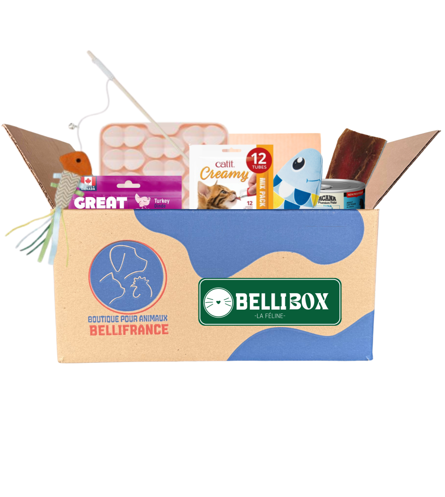 Bellibox «La Féline» - Boutique Bellifrance